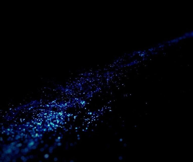 From Phi Phi: Sunset & Bioluminescent Plankton Snorkel Tour - Who Should Consider This Tour?