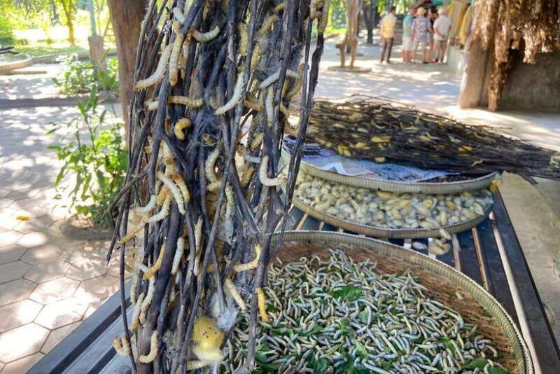 From Phnom Penh: Half-Day Silk Island Tour with Guide - A Practical Look at the Half-Day Silk Island Experience