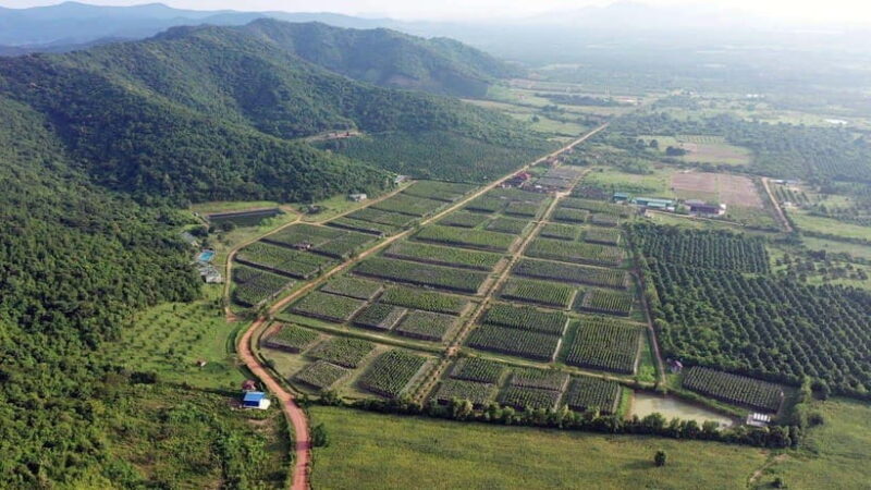 From Phnom Penh: Kampot Day Trip to Beautiful place W/ Guide - Key Points