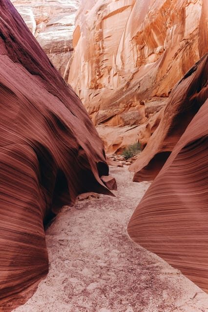 From Phoenix: Antelope Canyon and Horseshoe Bend Day Tour - Setting Expectations for Your Day Trip