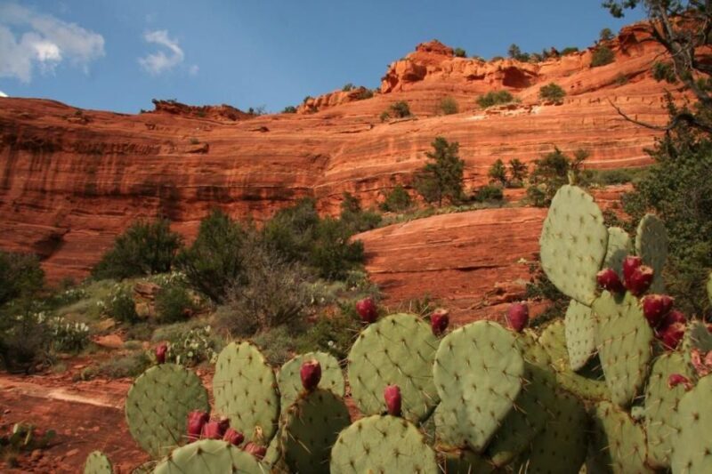 From Phoenix: Full-Day Sedona Small-Group Tour - Spiritual and Vortex Sites