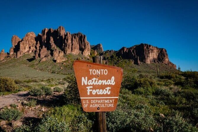 From Phoenix: Offroad Sonoran Desert and Sunset Shared Tour - Key Points