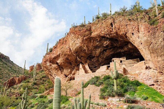 From Phoenix: Offroad Sonoran Desert and Sunset Shared Tour - Practical Tips for You