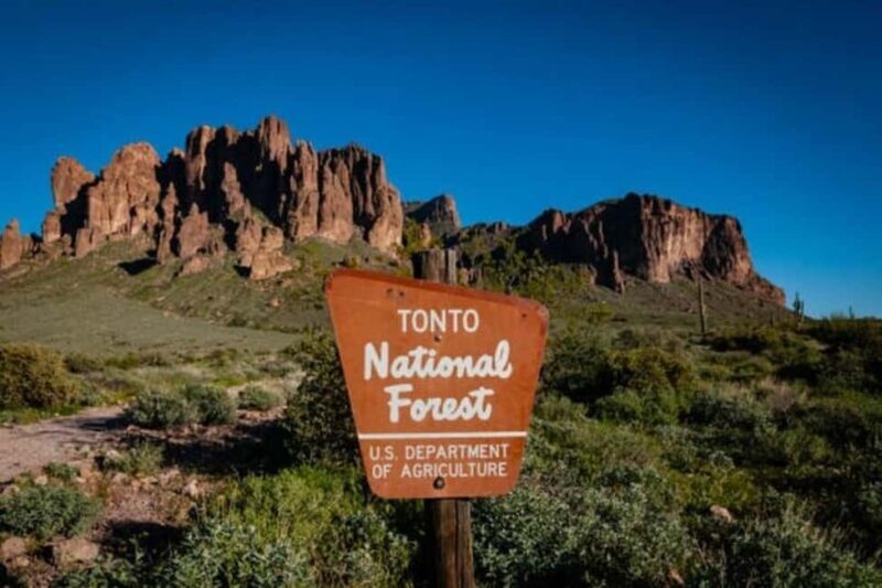 From Phoenix: Private Offroad Sonoran Desert and Sunset Tour - What Makes This Tour Stand Out?