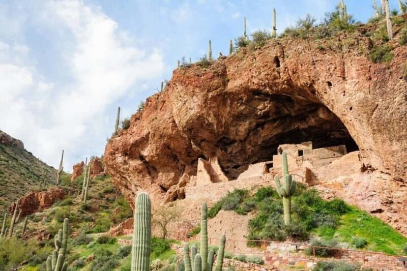 From Phoenix: Private Offroad Sonoran Desert and Sunset Tour - What Travelers Say
