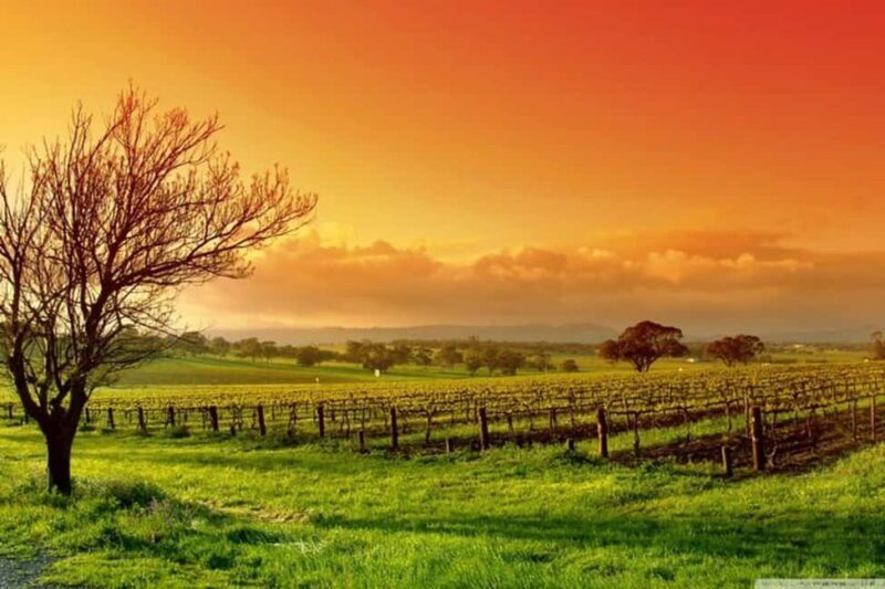From Phoenix: Vortex to Vineyard Private Tour - Final Thoughts: Who Is This Tour For?