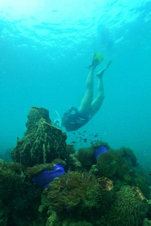 From Phu Quoc: Discover 4 Islands by Speedboat Full Day Tour - What’s Included & Not