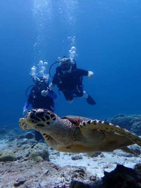 From Phuket: 3-Day SSI/PADI Open Water Diver Certification - Key Points