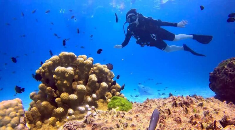 From Phuket: 3-Day SSI/PADI Open Water Diver Certification - An In-Depth Look at the Course Experience