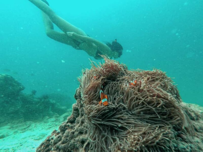 From Phuket: Coral Island Private Longtail Boat Tour - The Experience Itself: What to Expect