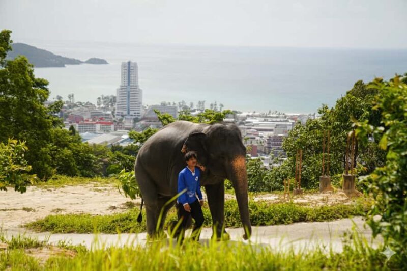 From Phuket: Elephant Sanctuary, Big Buddha & Old Town Tour - Practical Tips for Your Tour