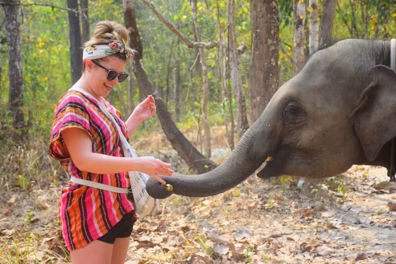 From Phuket: Elephant Sanctuary Tour with Lunch & Pickup - The Sum Up