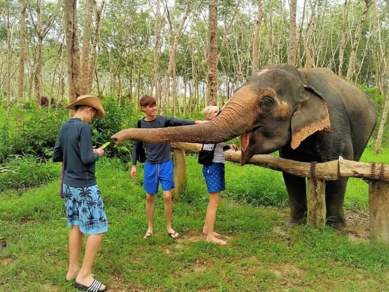 From Phuket: Elephant & Sea Turtle Conservation Private Tour - Who Should Consider This Tour?
