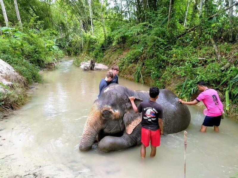 From Phuket: Elephant & Sea Turtle Conservation Private Tour - Final Thoughts: Is It Worth It?