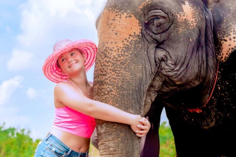 From Phuket: Ethical Elephant Interactive Trek and Tour - Frequently Asked Questions