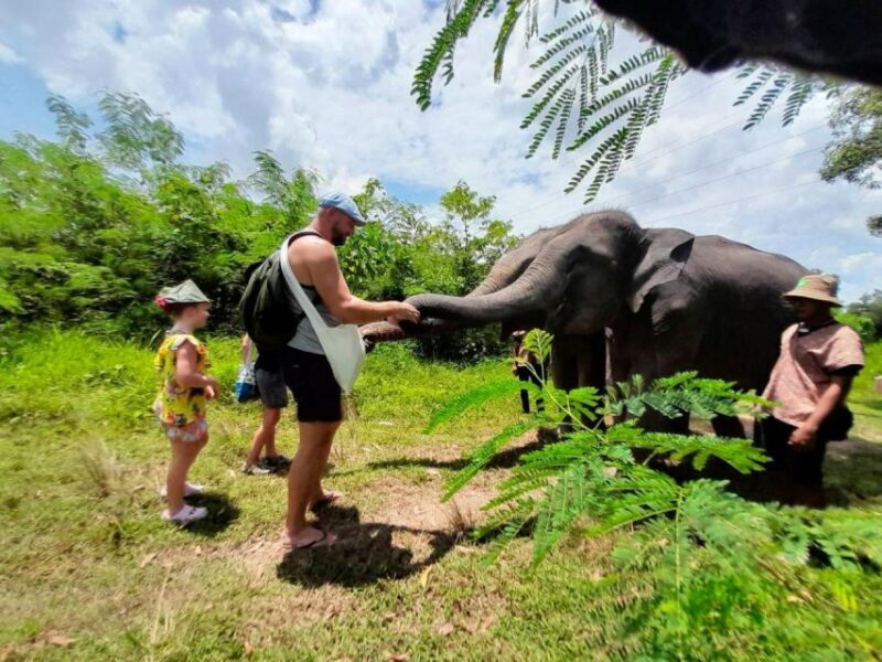 From Phuket: Ethical Elephant Interactive Trek and Tour - Final Thoughts