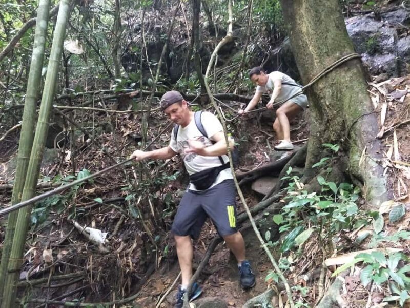From Phuket: Guided Rainforest Hike with Lunch - An In-Depth Look at the Rainforest Adventure