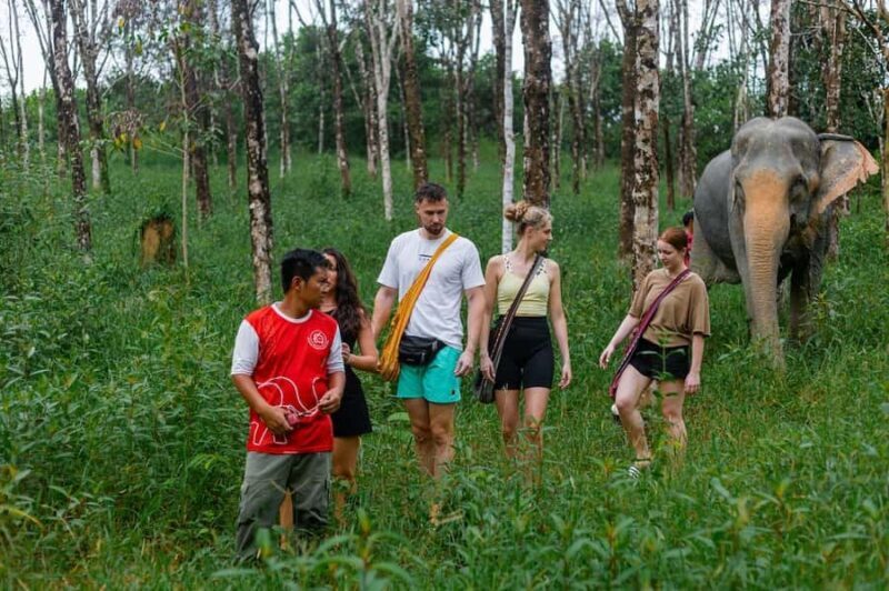 From Phuket: Khao Lak ATV, Zipline, Rafting & Wildlife Tour - Exploring the Itinerary in Detail