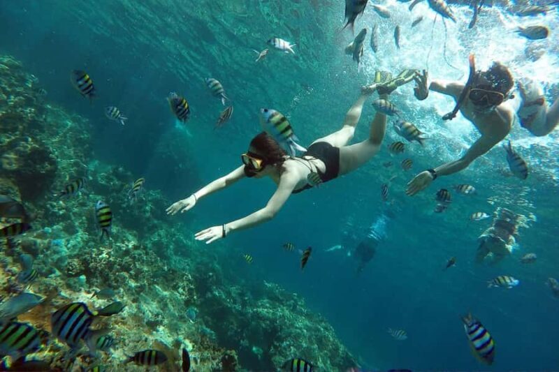 From Phuket: Phi Phi Island Private Full-Day Speedboat Trip - Final Thoughts