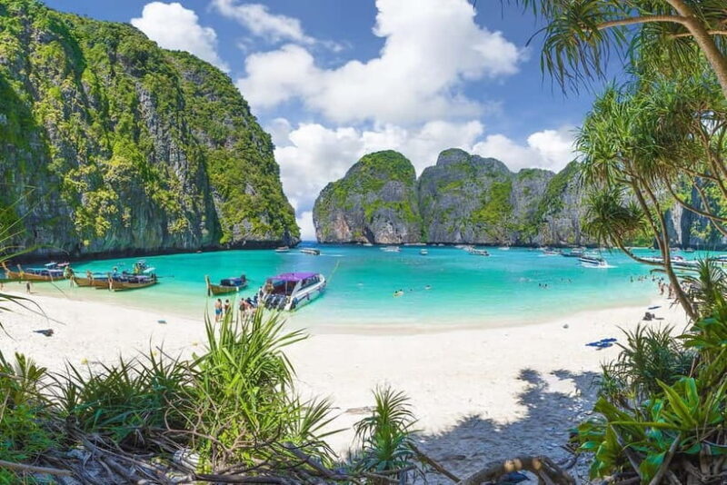 From Phuket: Phi Phi Islands Speedboat Tour - Who Is This Tour Best For?