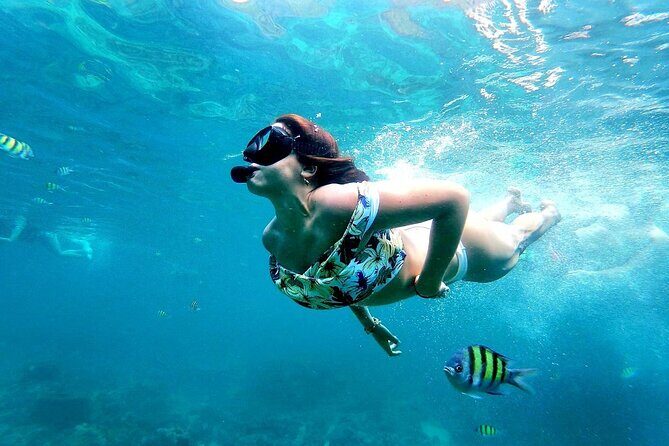 From Phuket: Phi Phi, Maya and Bamboo Islands Full Day Visit - An In-Depth Look at the Itinerary