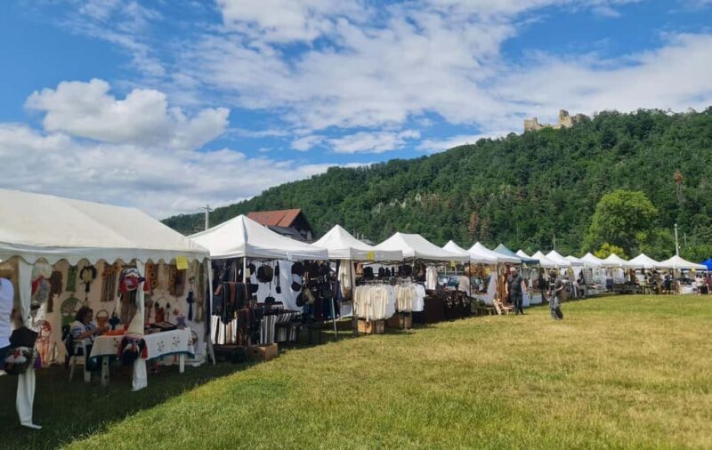 From Piatra Neam: Neam Citadel and Târgu Neam Guided Tour - The Journey Begins: Comfort in Organized Travel