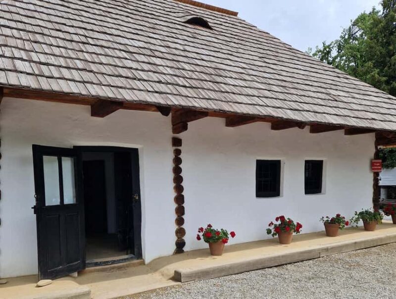 From Piatra Neam: Neam Citadel and Târgu Neam Guided Tour - Who Should Consider This Tour?