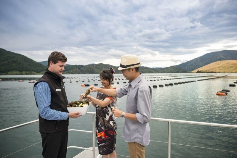 From Picton: Marlborough Sounds Cruise with Seafood - An Honest Look at the Marlborough Sounds Cruise with Seafood from Picton