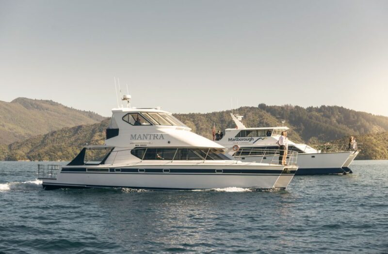 From Picton: Marlborough Sounds Cruise with Seafood - Value and Overall Experience