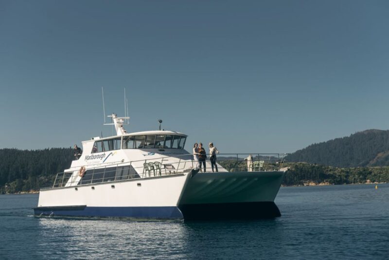 From Picton: Marlborough Sounds Cruise with Seafood - Is This Tour Right for You?