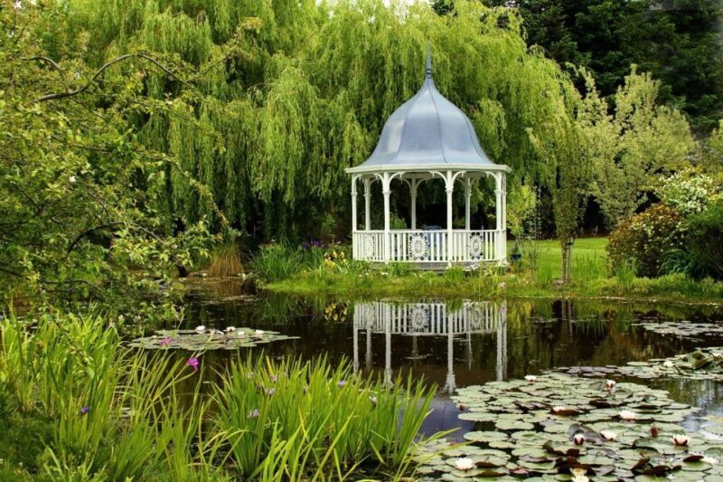 From Picton: Private Wine and Gourmet Tour of Marlborough - A Detailed Look at the Tour Experience
