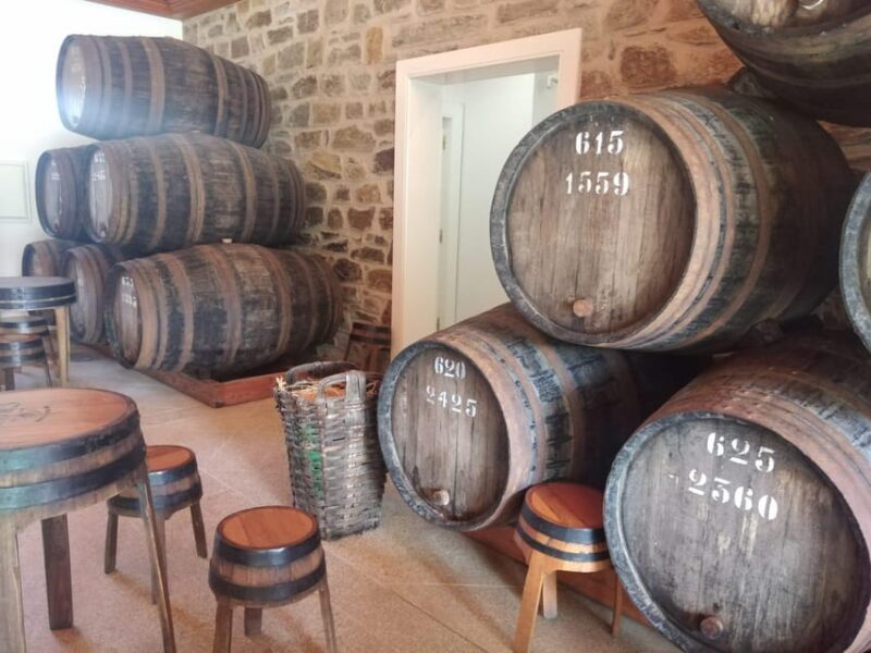 From Pinhão: Douro Valley Tour w/ Wine Tasting and Boat Trip - Who Would Love This Tour?