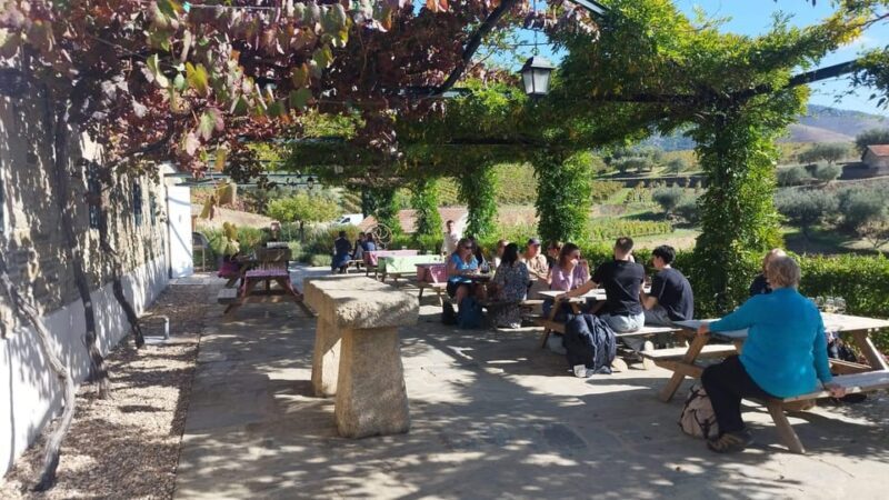 From Pinhão: Douro Valley Tour w/ Wine Tasting and Boat Trip - FAQ