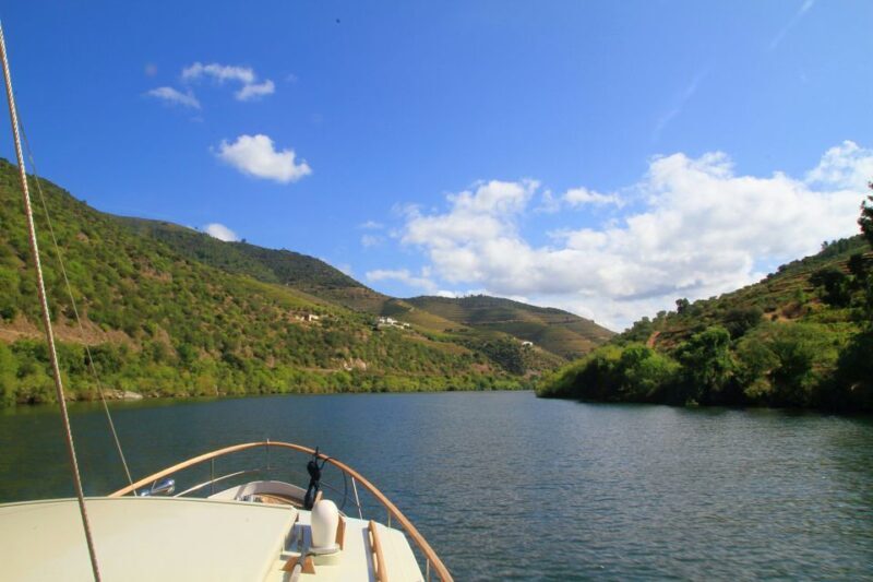 From Pinhão: Private Yacht Cruise along the Douro River - Who Would Love This?