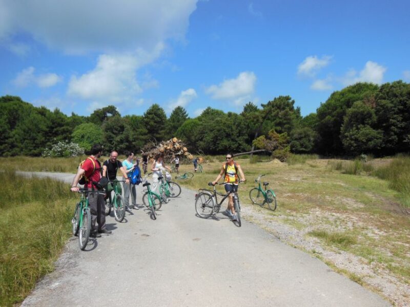 From Pisa to Lucca along Puccini cycling path - The Sum Up: who is this tour really for?