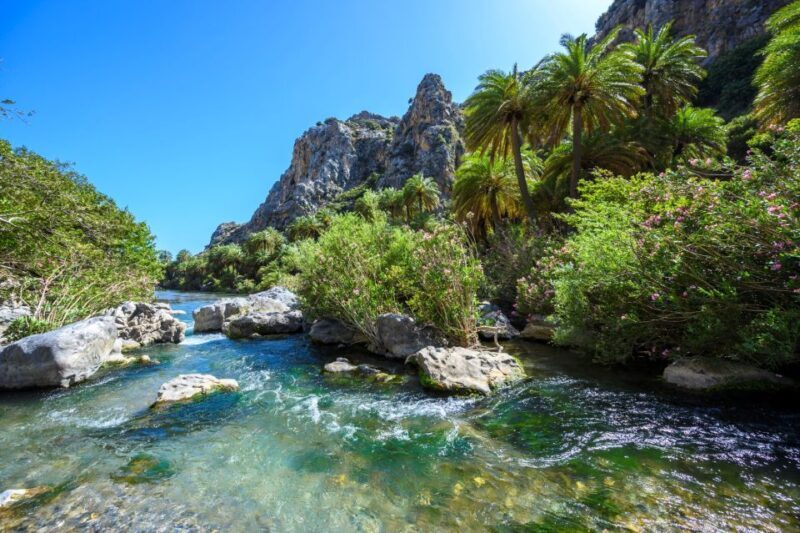 From Plakias: Beach Safari to Ammoudi and Preveli - FAQs