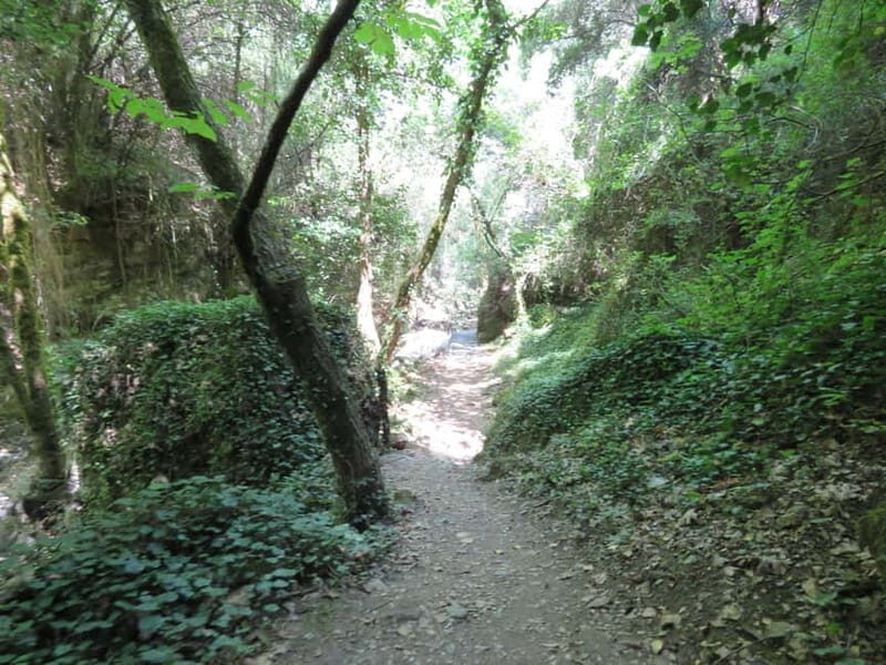 From Platanias: Guided Mountain Half day Trip with snack! - Zourva: The Heart of the Mountain Experience