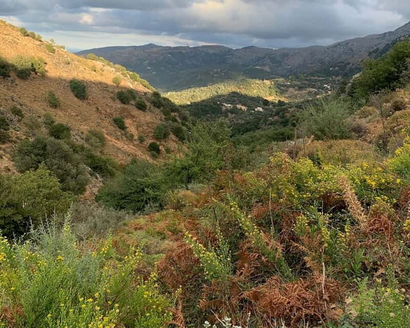 From Platanias: Guided Mountain Half day Trip with snack! - What Travelers Say