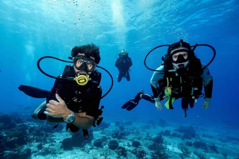 From Playa del Carmen: Cozumel Diving Adventure - An Introduction to the Experience