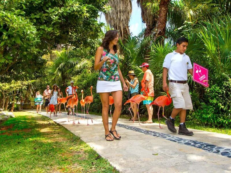 From Playa del Carmen: Xcaret Park All-Inclusive - FAQ