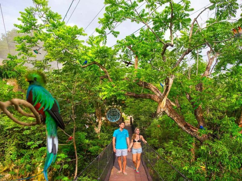 From Playa del Carmen: Xcaret Plus Park, the complete experience - Key Points