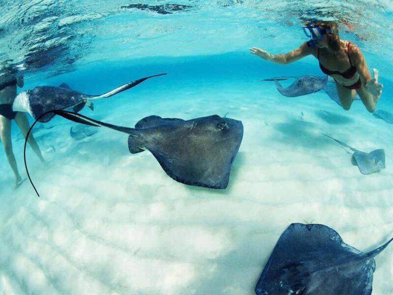 From Playa del Carmen: Xcaret Plus Park, the complete experience - Frequently Asked Questions