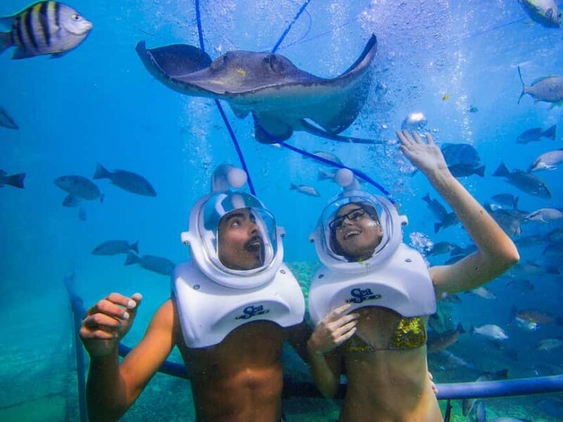 From Playa del Carmen: Xcaret Plus Park, the complete experience - The Sum Up