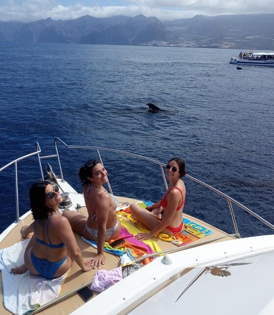 From Playa San Juan: Whale Watching, Gigantes, and Masca Bay - Authentic Feedback from Participants