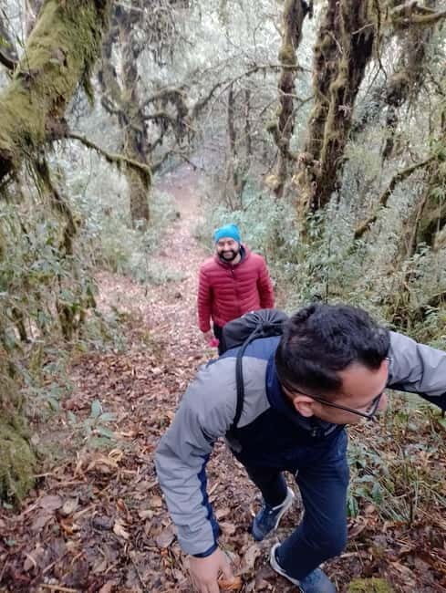 From Pokhara: 2-day Panchase Hill Hiking Tour & Return Drive - The Sum Up