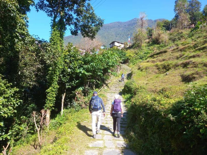 From Pokhara: 2-Day Poon Hill Trek with Sunrise View - Key Points