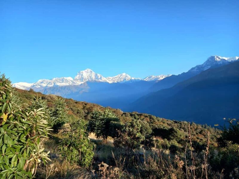 From Pokhara: 2-Day Poon Hill Trek with Sunrise View - Practical Details About Price, Duration, and Transportation