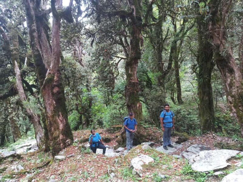 From Pokhara: 2-Day Poon Hill Trek with Sunrise View - FAQs