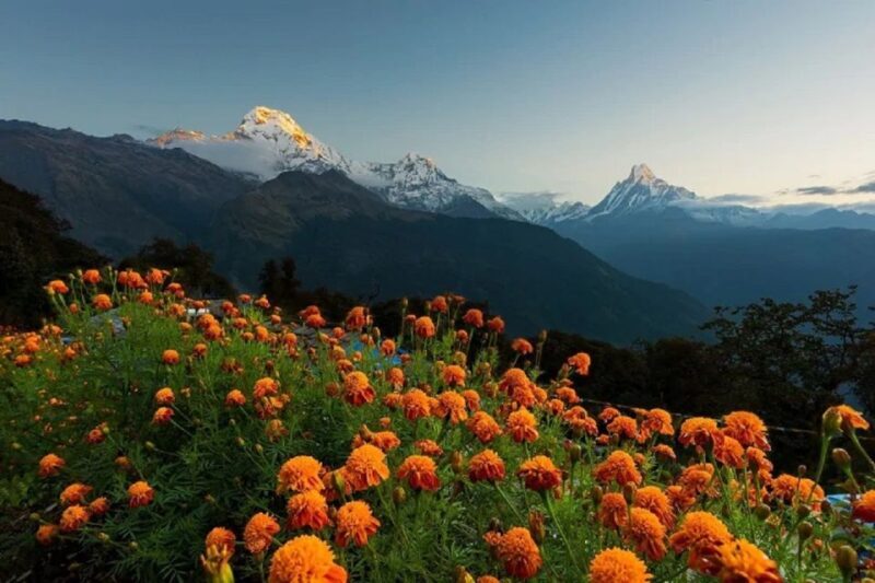 From Pokhara: 2-Day Scenic Australian Camp Trek - The Sum Up