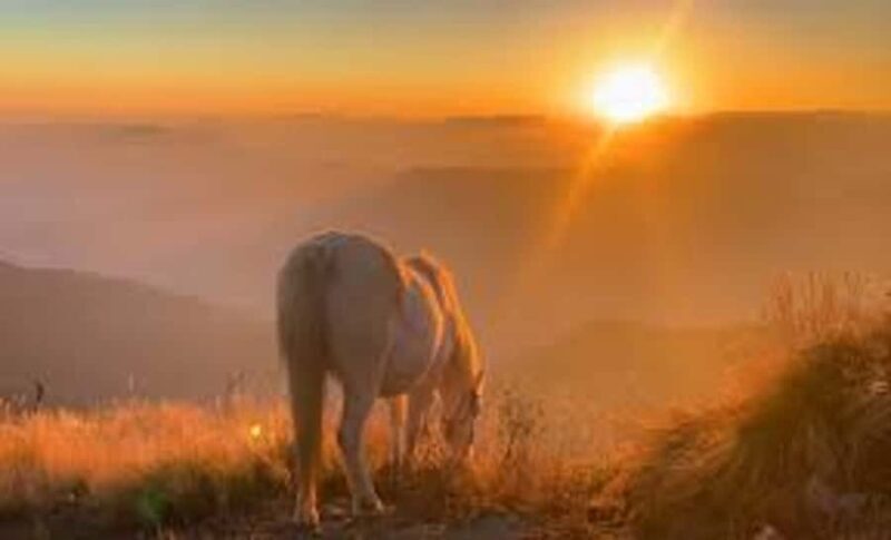 From Pokhara: 2 Night 3 Day Amazing Khumai Danda Trek - A Practical Look at the Khumai Danda Trek